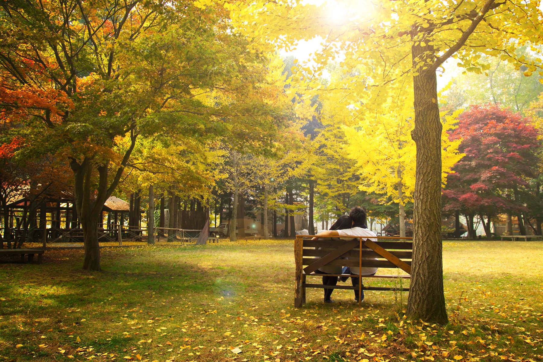 Buy Nami Island Shuttle Bus Transfers from Seoul Tickets on FunEx